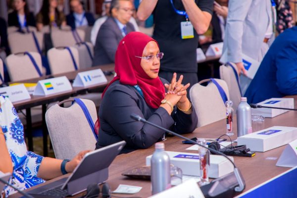 Dr. Kijaji Champions Stronger Tanzania–China Tourism Relations at UN ...