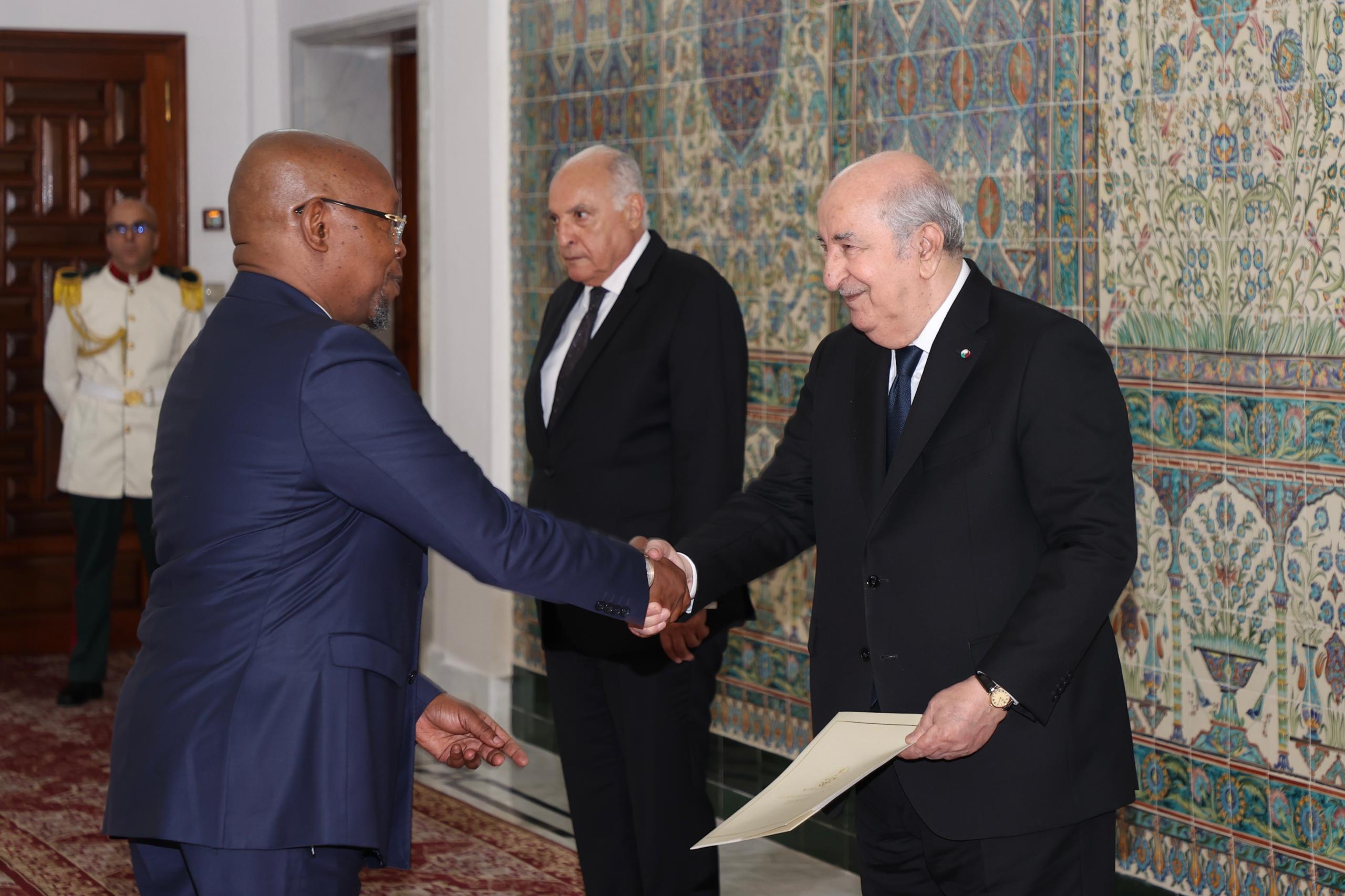 Two Women Presidents, One Vision: Tanzania and Namibia Advance Shared ...